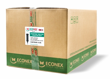 Tomicus destruens | Pine shoot beetle | ECONEX pheromones and traps