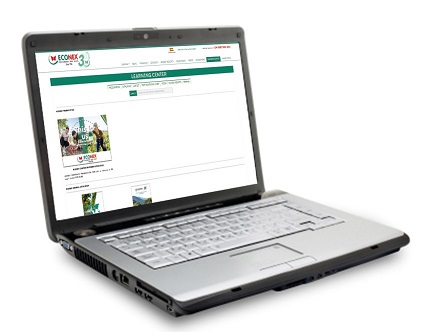 Tomicus destruens | Pine shoot beetle | ECONEX pheromones and traps